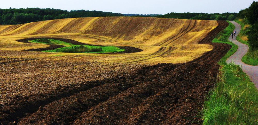 Kunst auf dem Acker = Ackerkunst Foto & Bild | landschaft, Äcker ...