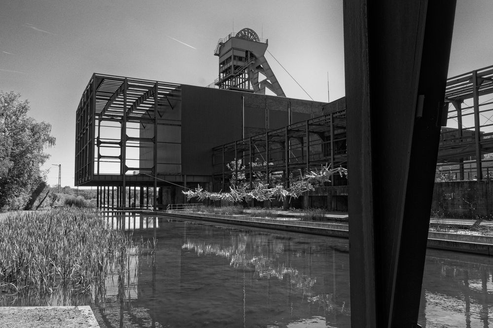 Kunstprojekt in den Wassergärten Landsweiler-Reden Foto & Bild | spezial, sommer, wasser Bilder ...