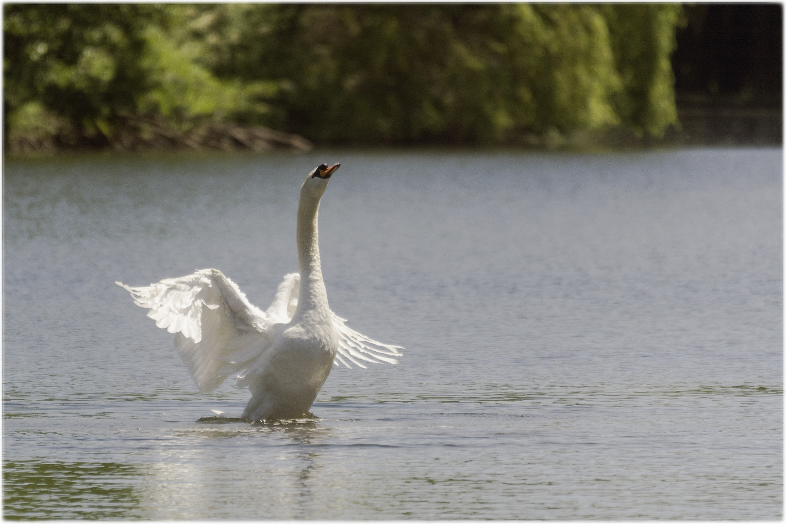 kurz danach Foto & Bild | park, münchen, natur Bilder auf fotocommunity