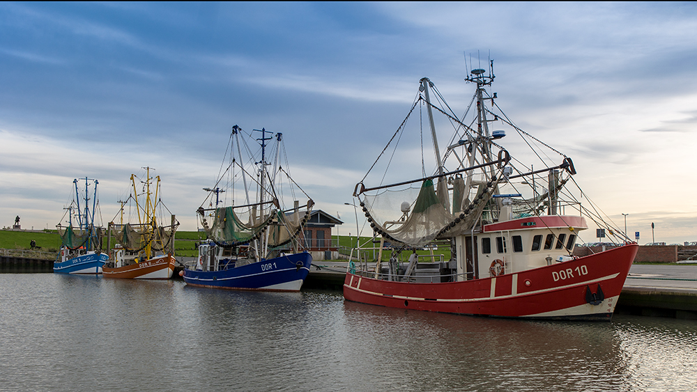 Kutterhafen Dorum Foto & Bild | nordsee Bilder auf fotocommunity