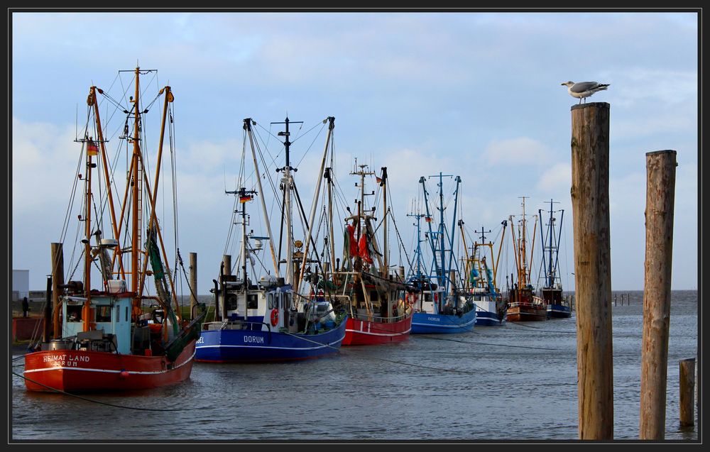 Kutterhafen Dorum-Neufeld II Foto & Bild | deutschland, europe ...