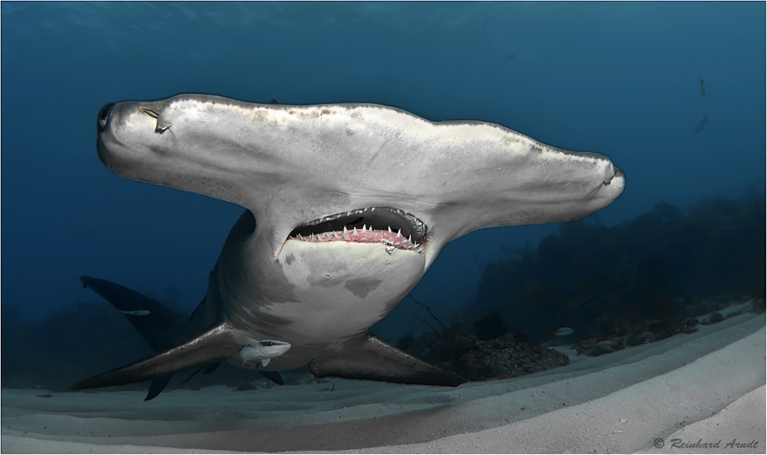 KVR Foto & Bild | fotos, world, meer Bilder auf fotocommunity