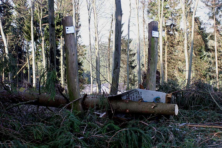 Kyrill in Wittgenstein IV Foto & Bild | klimawandel, wetter, natur ...