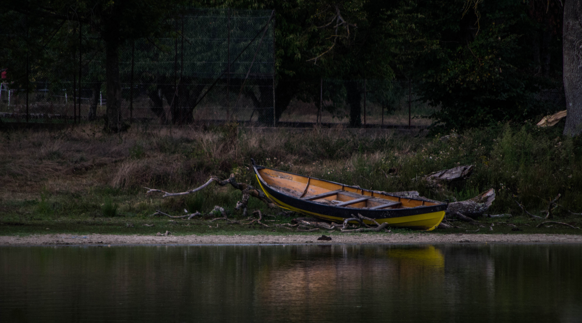 la barque photo et image | nature, étang, barque Images fotocommunity