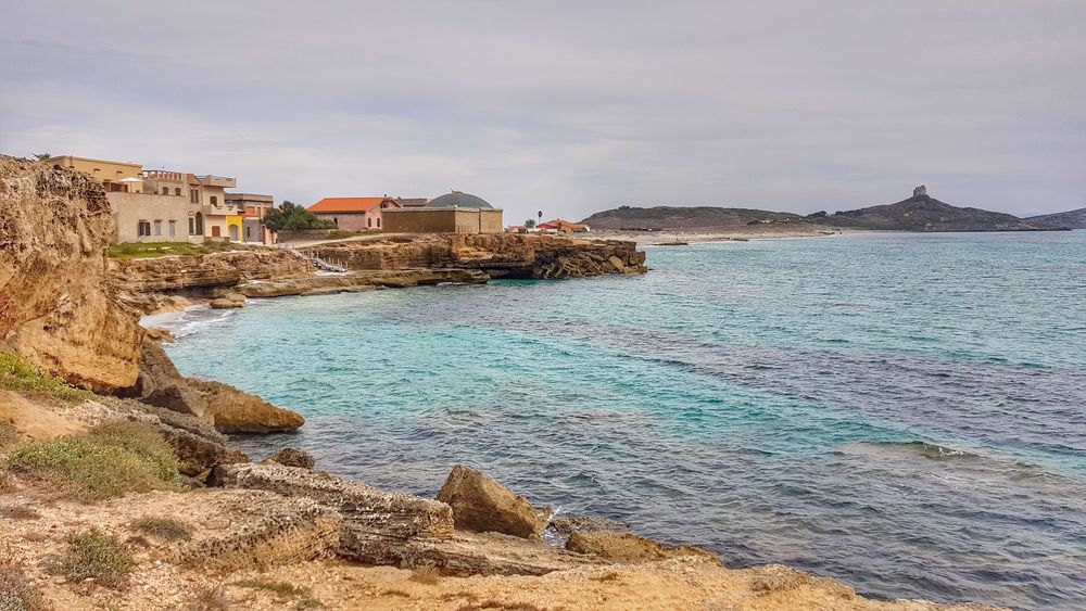 La base della felicità... Foto % Immagini| fotos, italy, nature Foto su ...