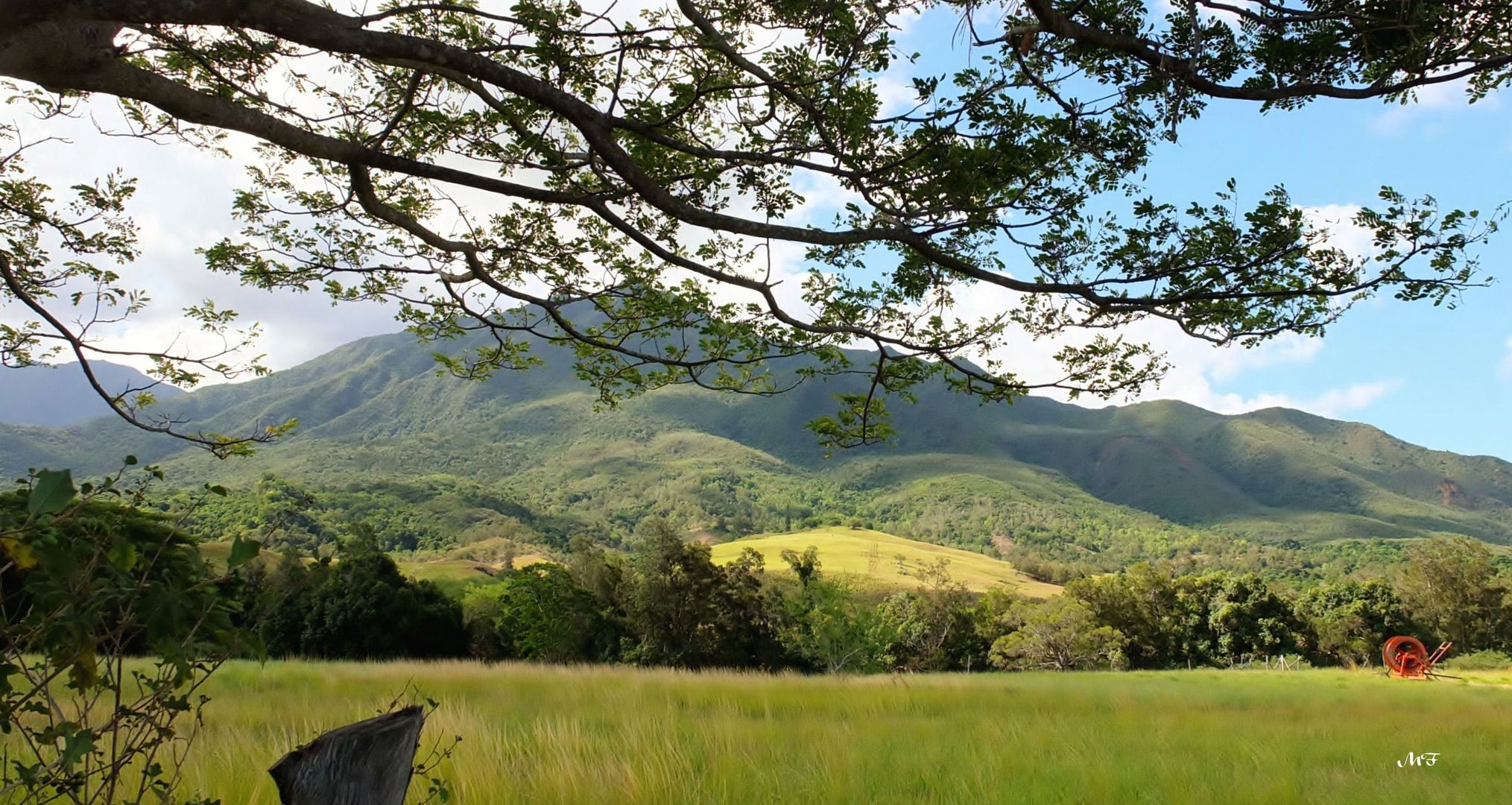 La brousse photo et image | australia & oceania, oceania, paysages ...