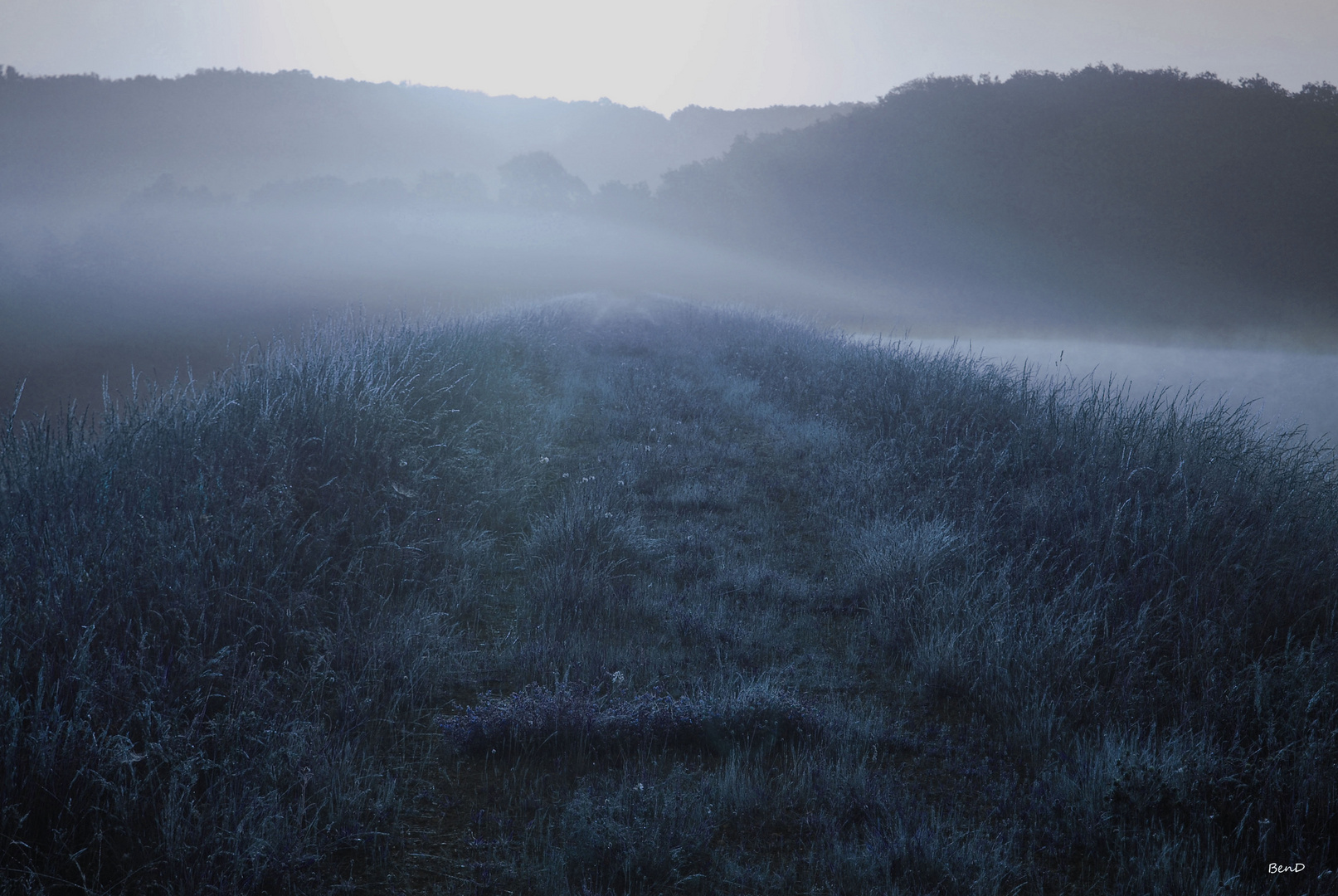 la brume photo et image | nature, sujets, world Images fotocommunity