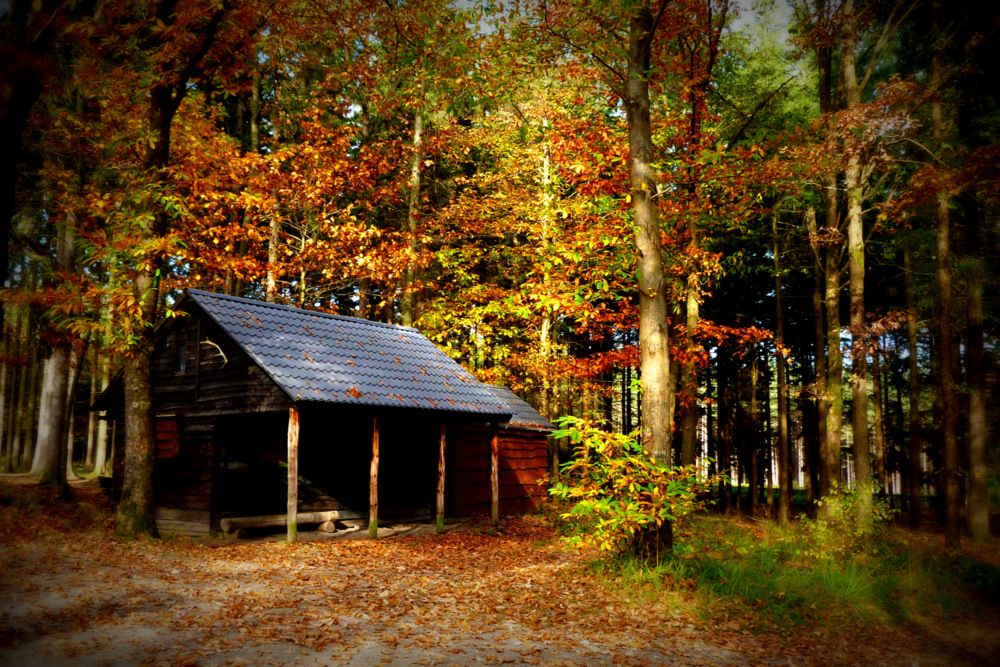 La cabane photo et image | les saisons, automne, bois Images fotocommunity