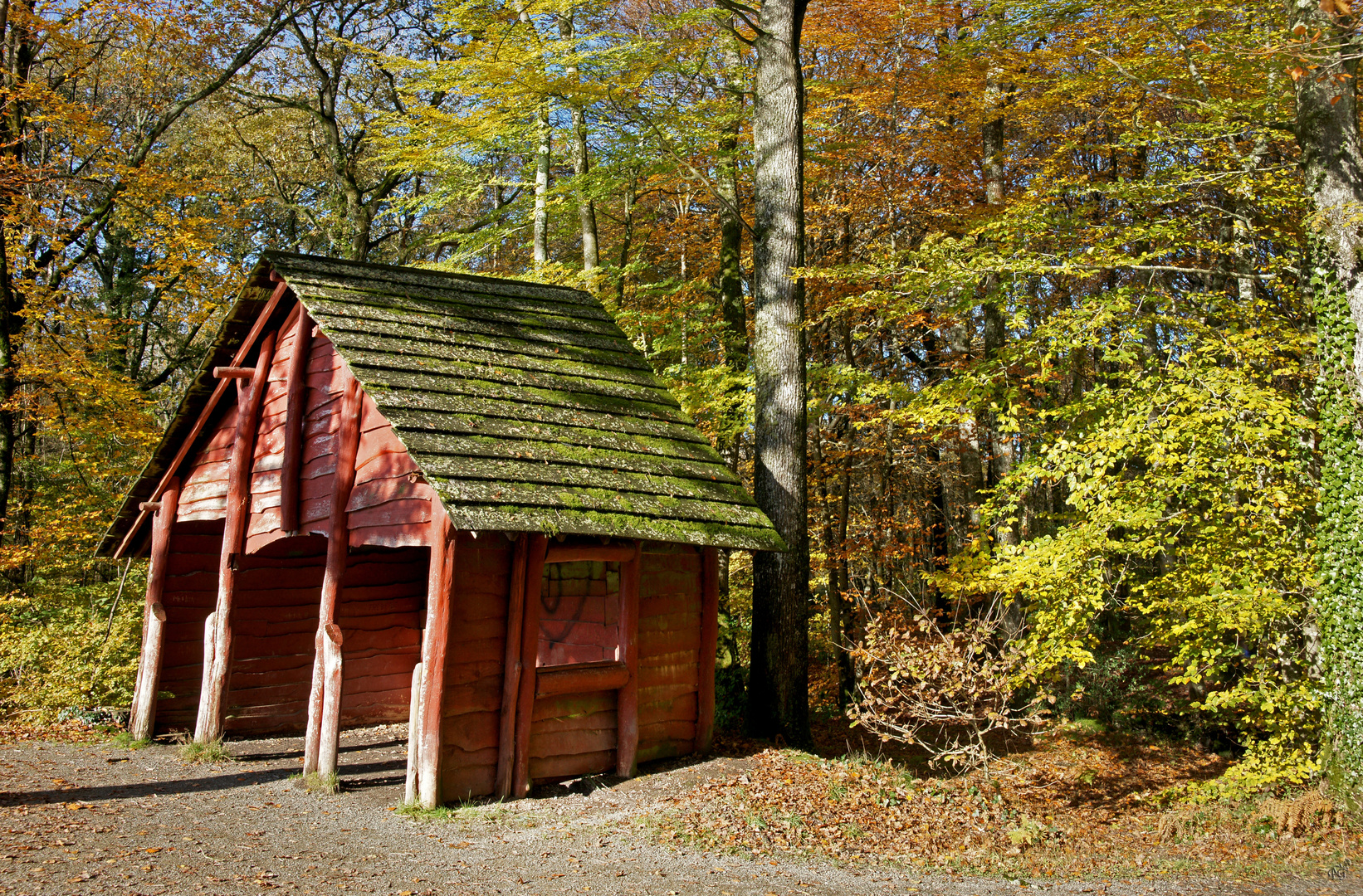 La cabane photo et image | les saisons, automne, nature Images ...