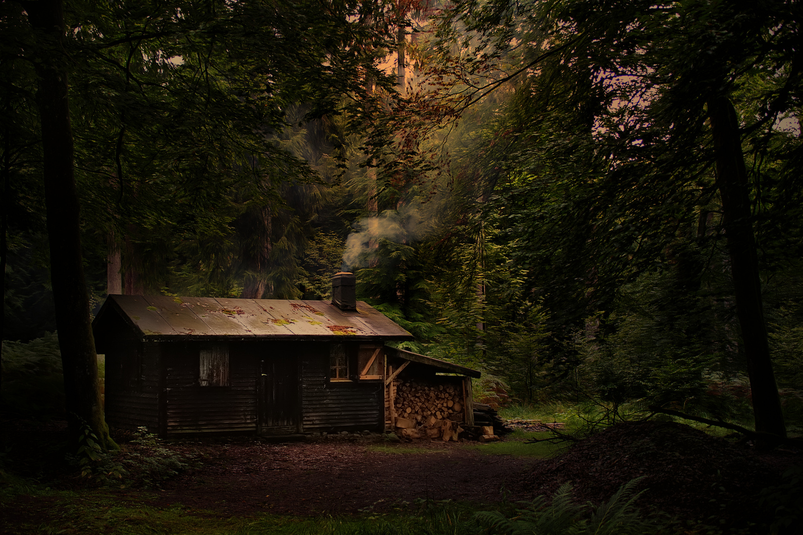 La cabane dans la forêt photo et image | les saisons, automne, nature ...