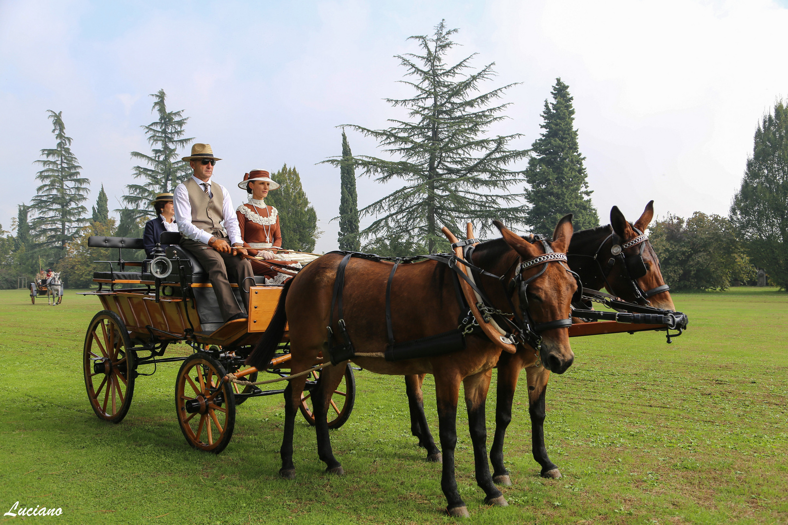la Carrozza Foto % Immagini| feste e folclore, canon, natur Foto su ...