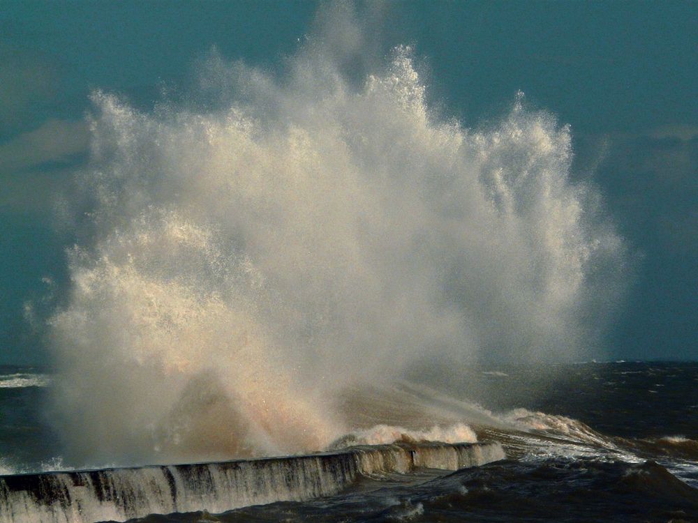 La claque photo et image | paysages, mers et océans, nature Images ...