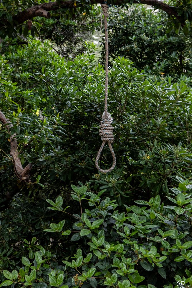 La corde pour se pendre photo et image | animations photographiques ...