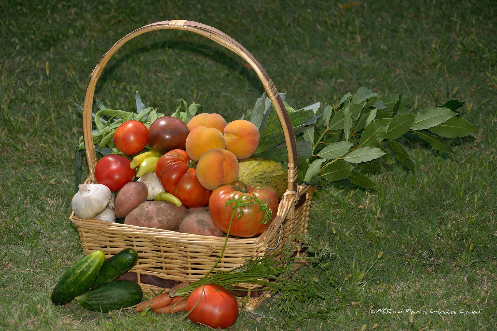 La cosecha Imagen & Foto | bodegones, naturaleza Fotos de fotocommunity