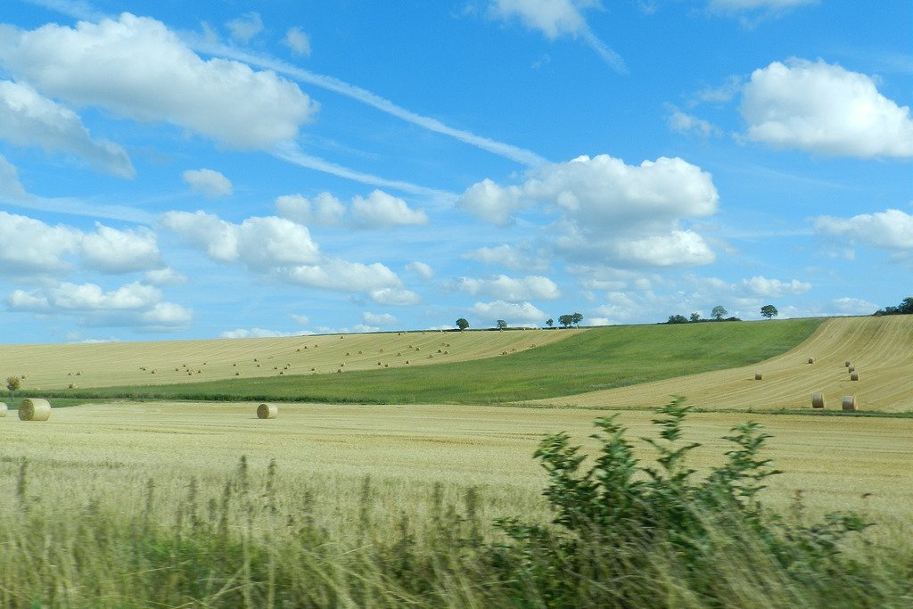La couleur des champs photo et image | paysages, paysages de campagne ...