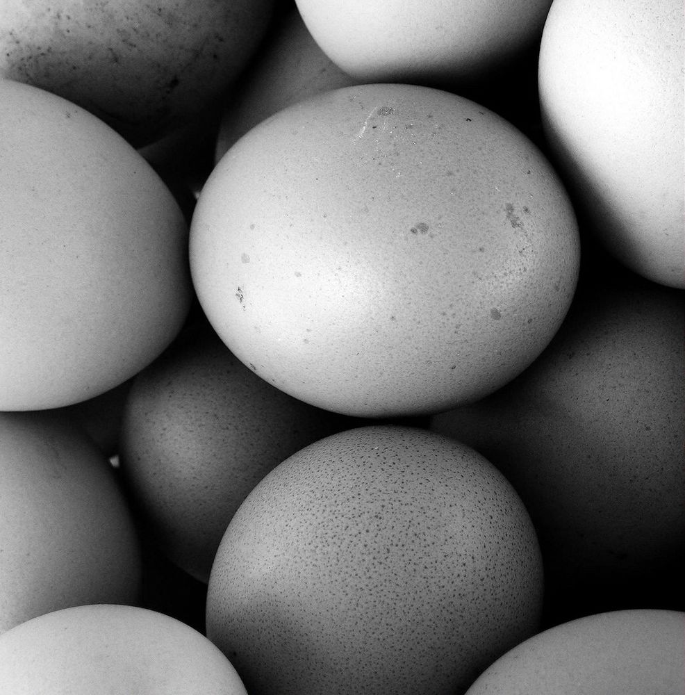 La docena. Imagen & Foto | abstracto, motivos Fotos de fotocommunity