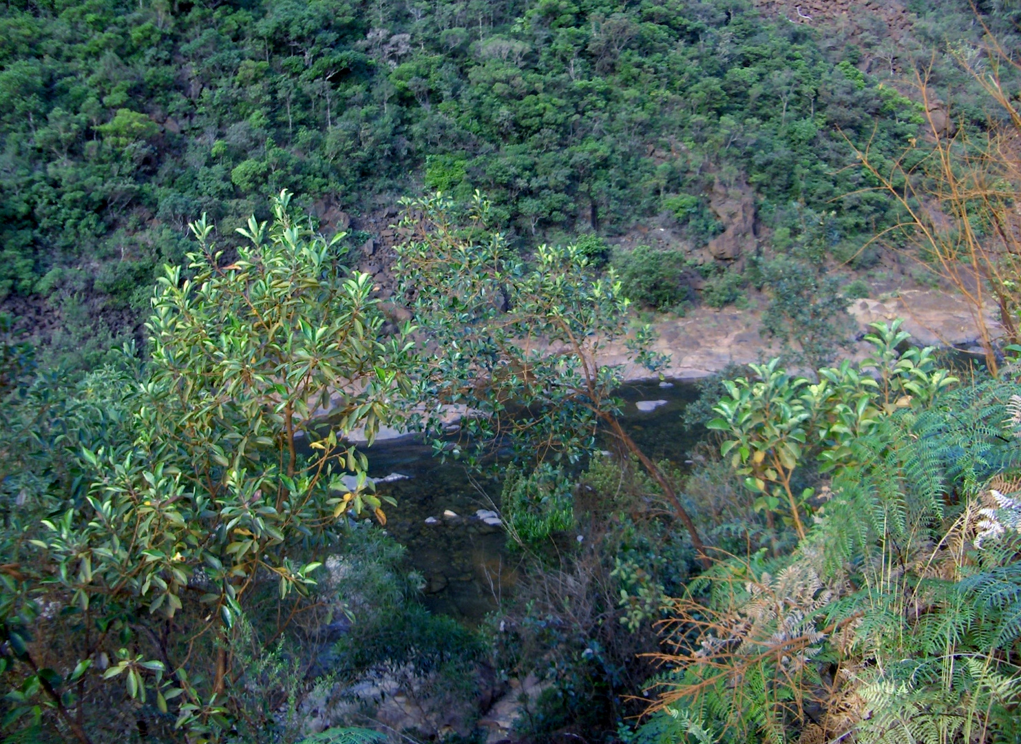 La Dumbea photo et image | australia & oceania, oceania, paysages ...