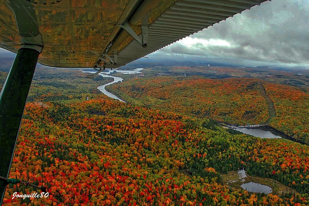 la forêt québécoise photo et image | les saisons, automne, canada ...