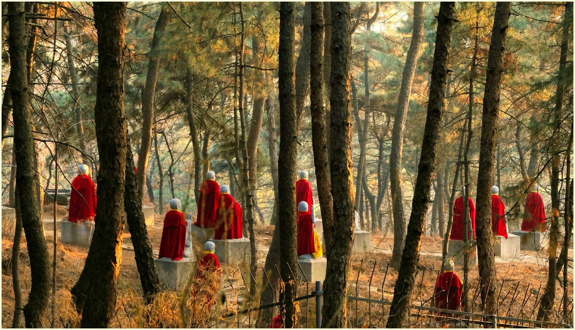 La forêt sacrée photo et image | china, world, asia Images fotocommunity