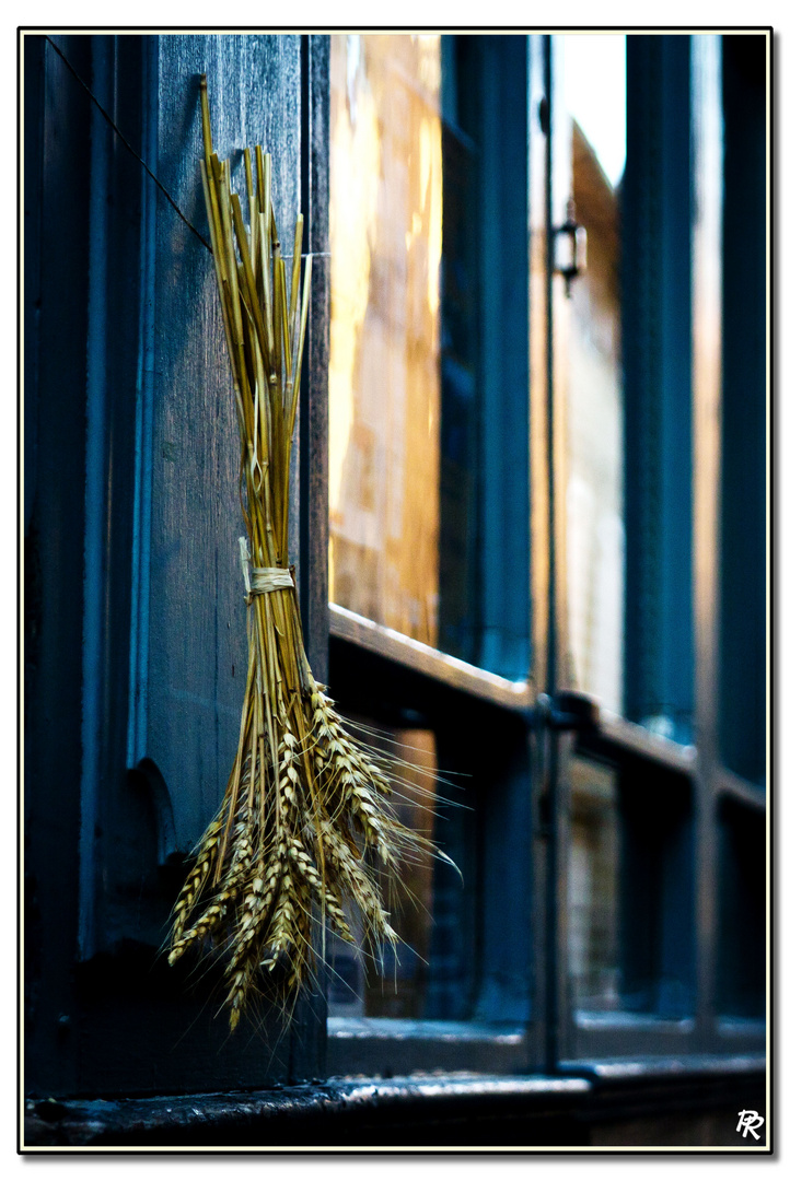 La gerbe de blé photo et image | europe, france, midi-pyrénées Images ...