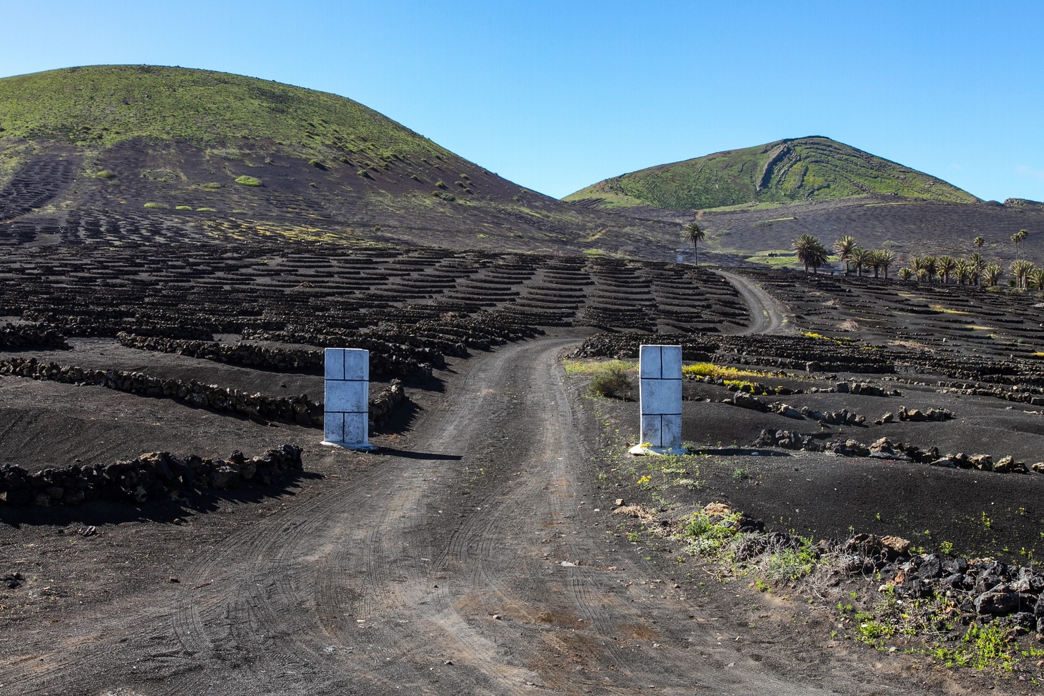 La Geria Foto & Bild | urlaub, outdoor, weg Bilder auf fotocommunity