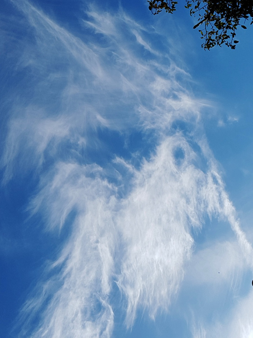 La grande faucheuse photo et image | paysages, nature Images fotocommunity