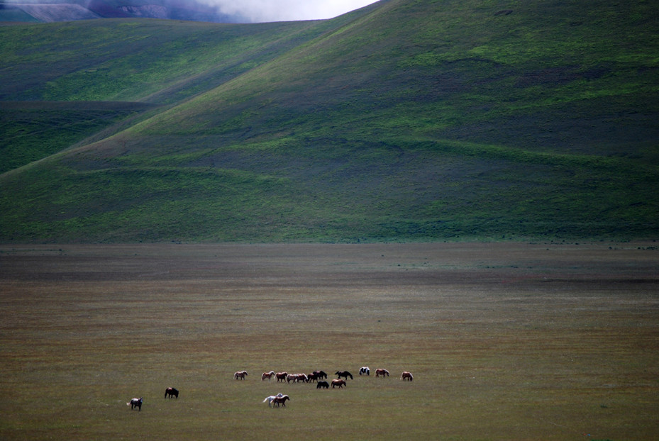la grande prateria Foto % Immagini| paesaggi, montagna, natura Foto su ...