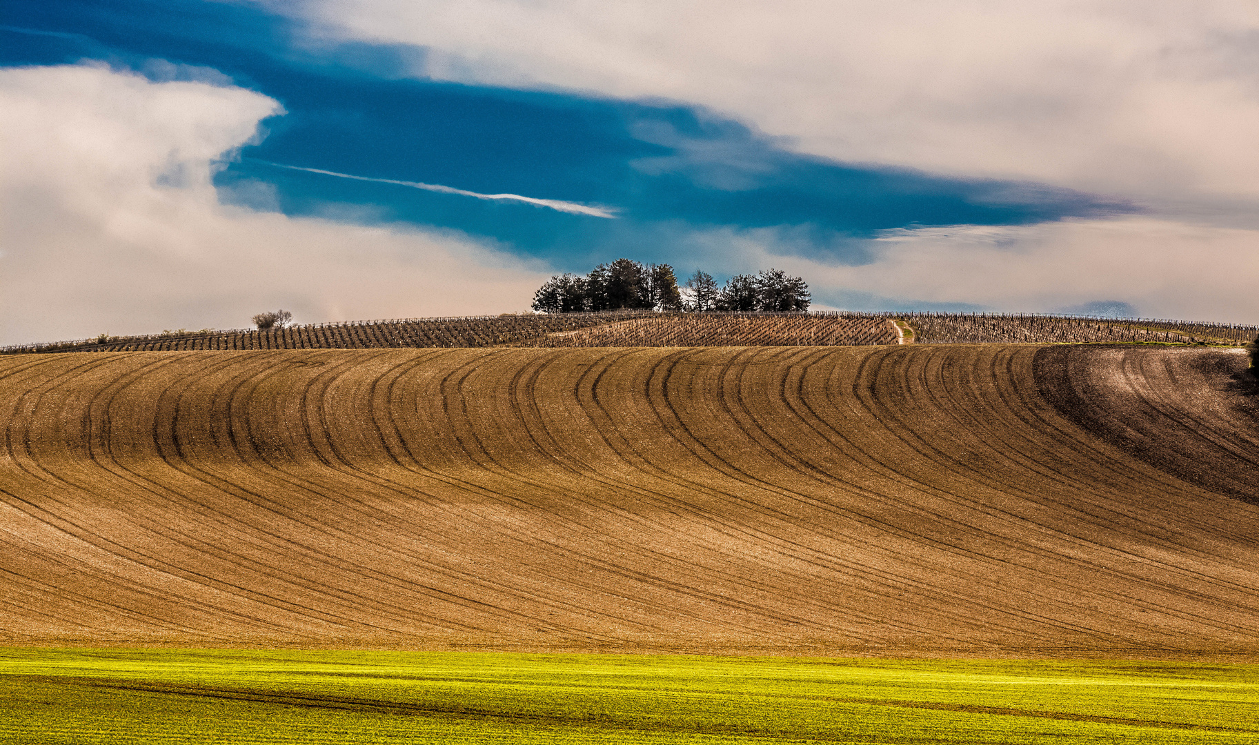 la haut sur la colline photo et image | paysages, paysages de campagne ...