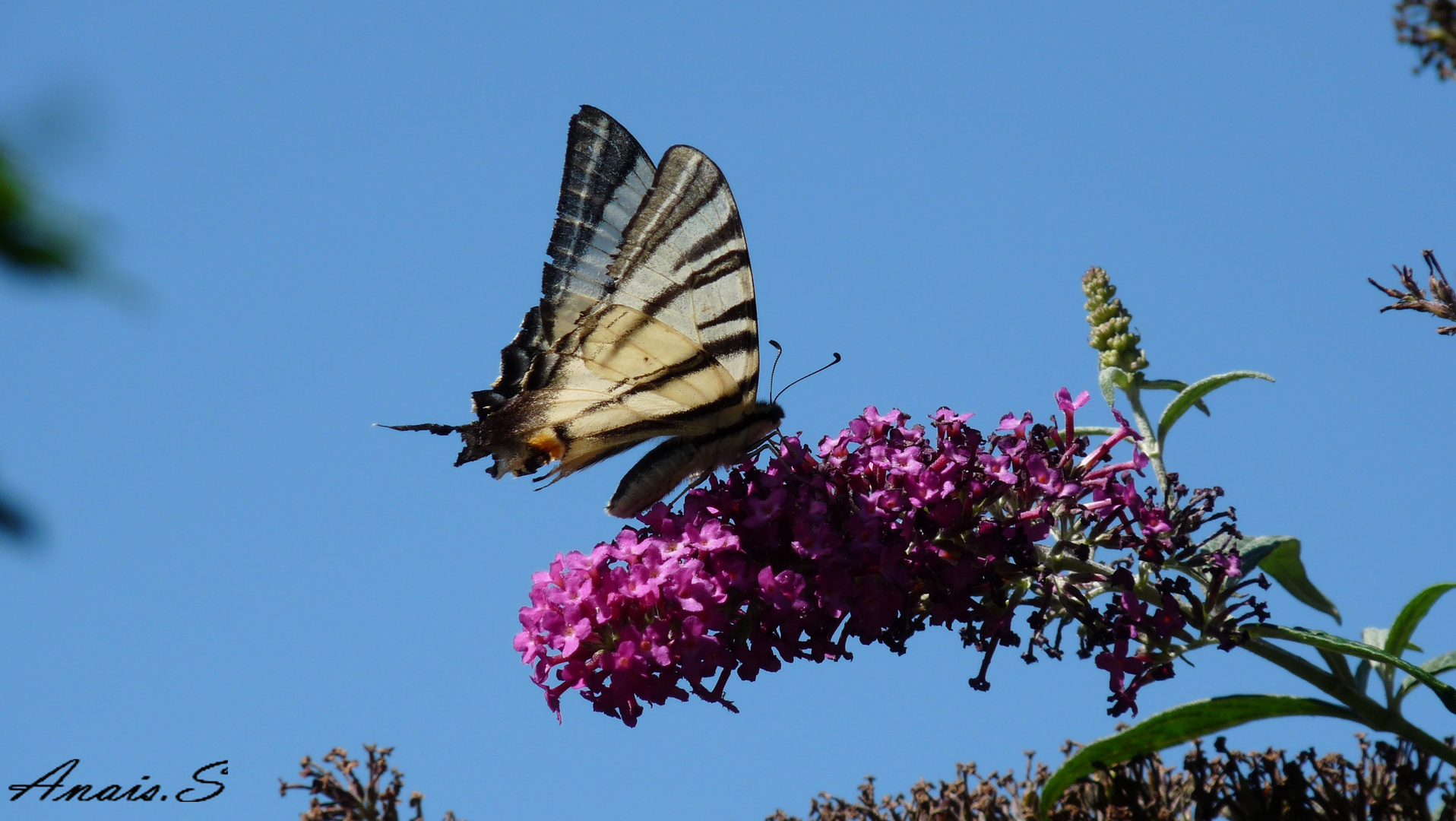 La libertée photo et image | paysages, mers et océans, nature Images ...