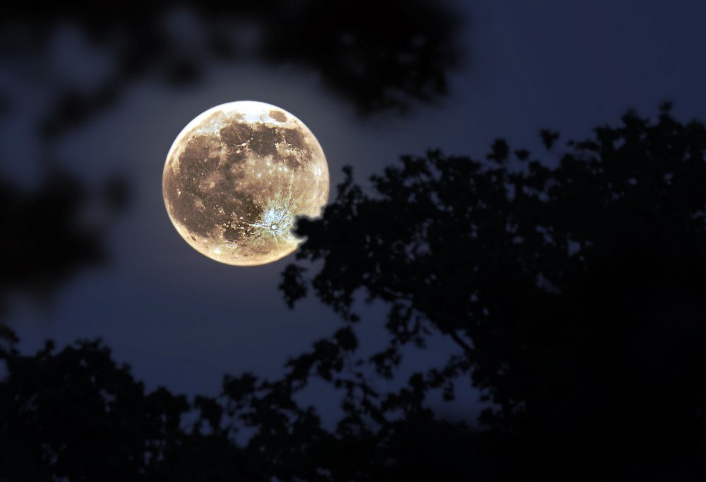 La luna Foto & Bild | nacht, abendstimmung, natur Bilder auf fotocommunity