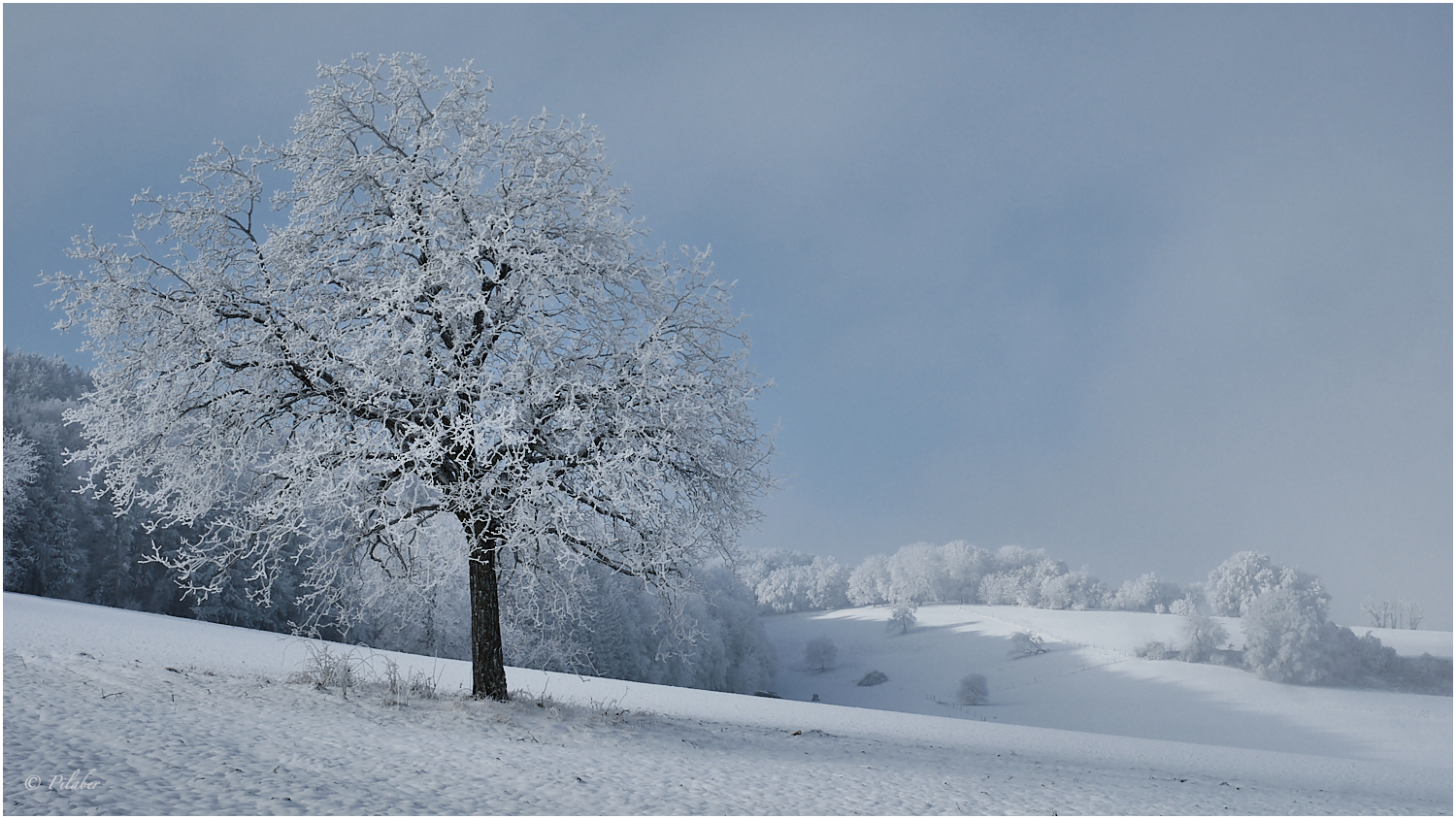 La magie de l'hiver 6 Foto & Bild | europe, france, alsace elsass ...