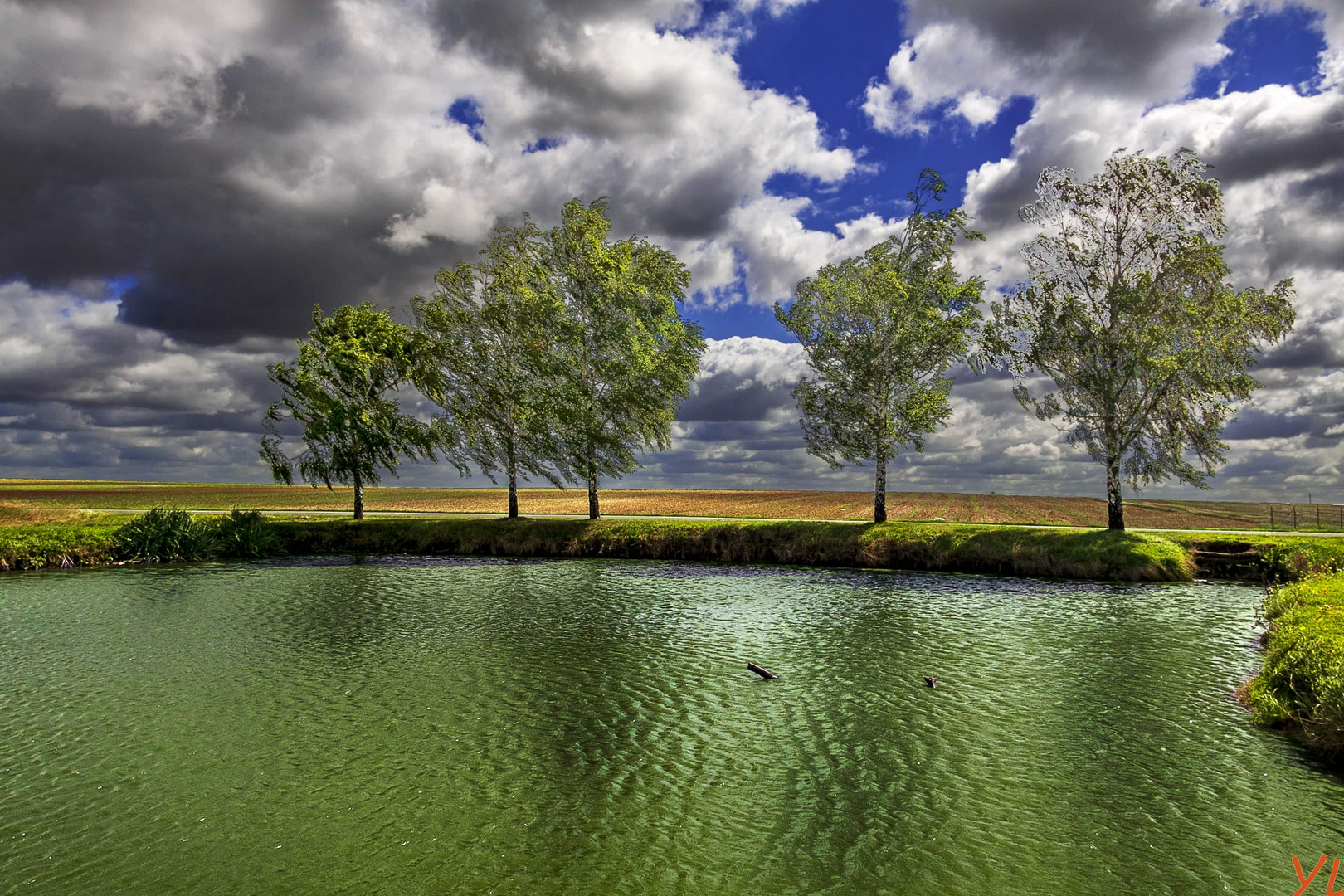 La mare verte photo et image | animations photographiques, un jour ...