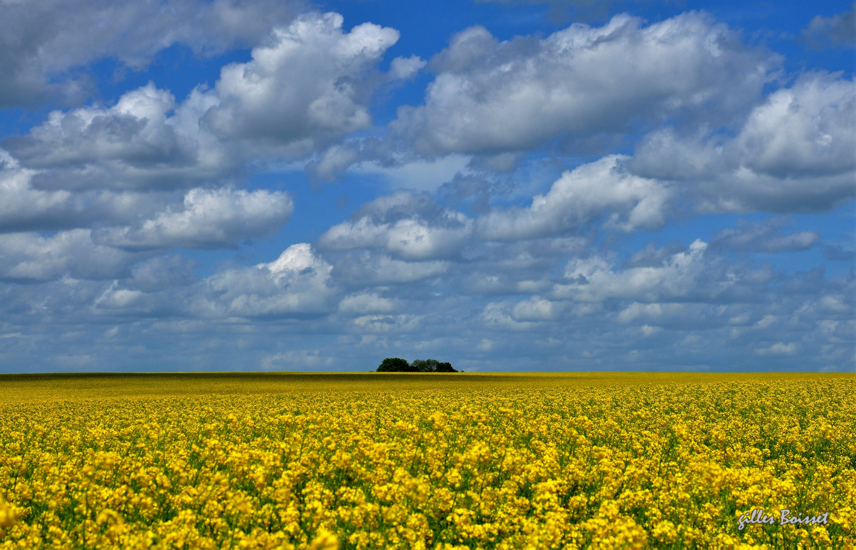 la mer jaune photo et image | nature, nuages, champs Images fotocommunity
