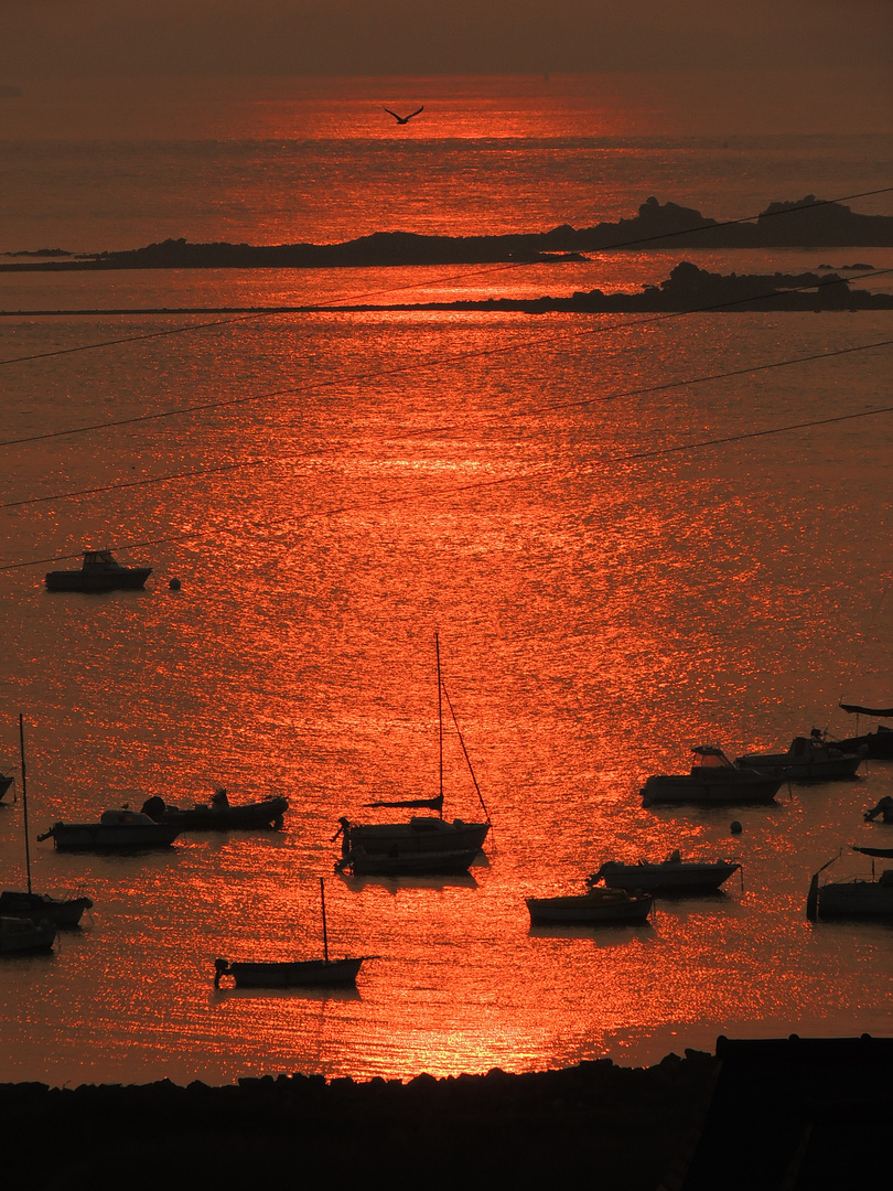 La mer rouge photo et image | paysages, mers et océans, baies, anses et ...