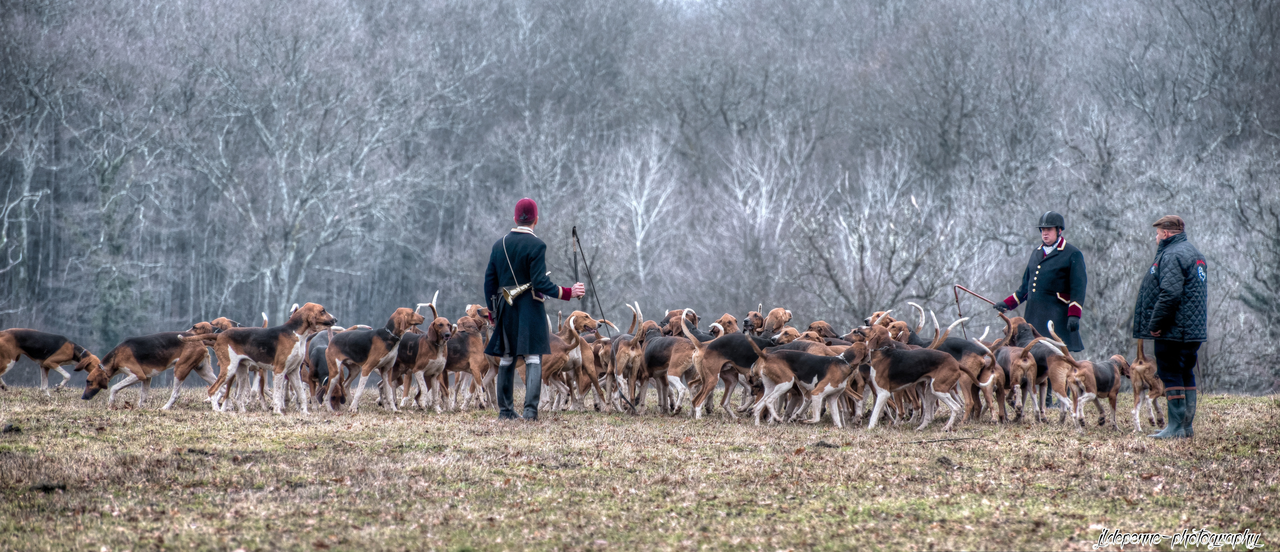 La meute photo et image | divers, nature, animaux Images fotocommunity