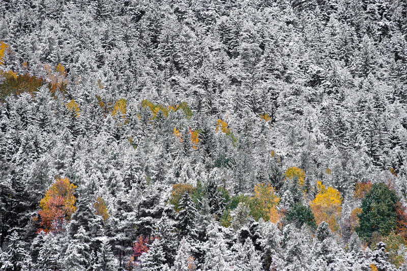 La neige et l'automne 3 Foto % Immagini| paesaggi, montagna, natura ...