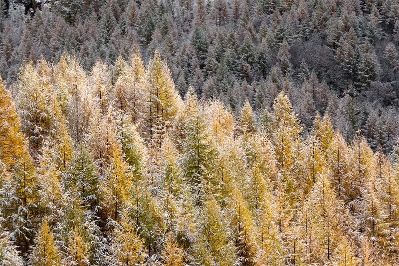 La neige et l'automne 4 Foto % Immagini| paesaggi, montagna, natura ...