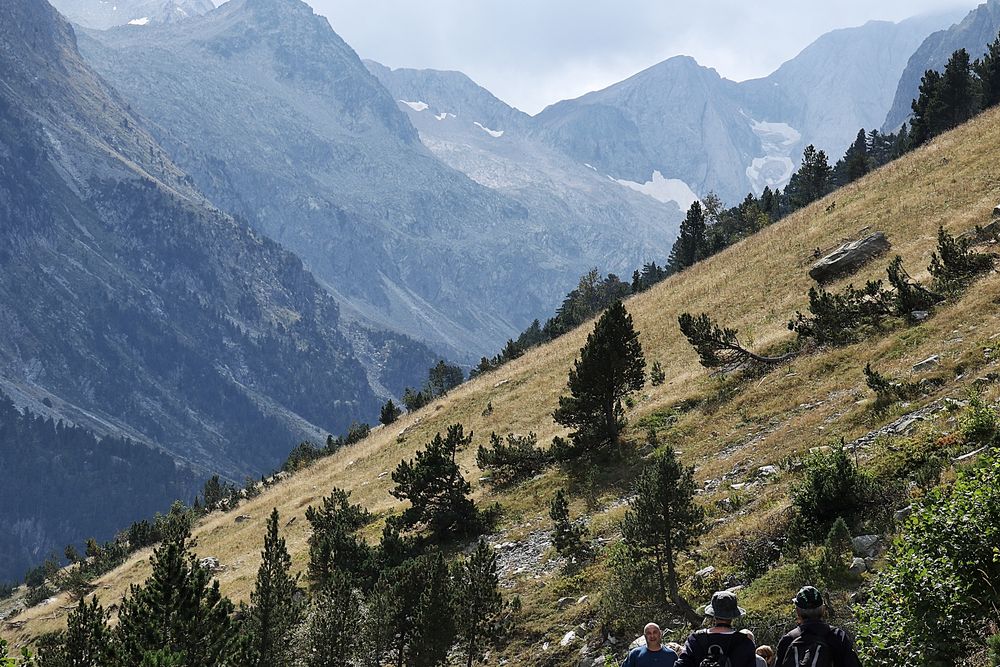 la pente est raide ! photo et image | nature Images fotocommunity