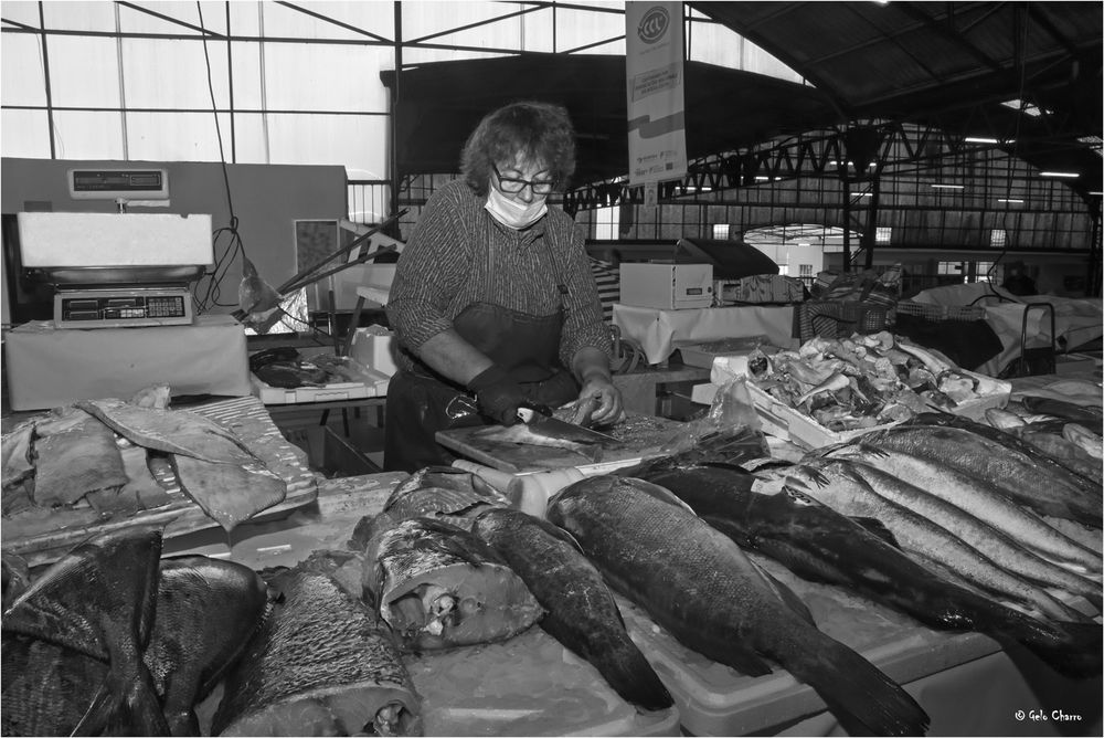 La pescadera Imagen & Foto | documentación y periodismo , fotos en ...