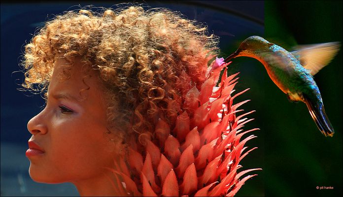 pit hanke - Fotos & Bilder - Fotograf aus Las Terrenas - Samaná ...