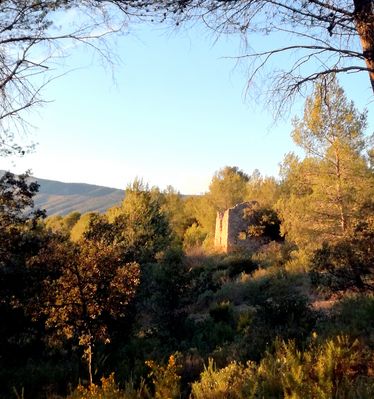 Provence-Alpes-Côte d'Azur Bilder & Fotos