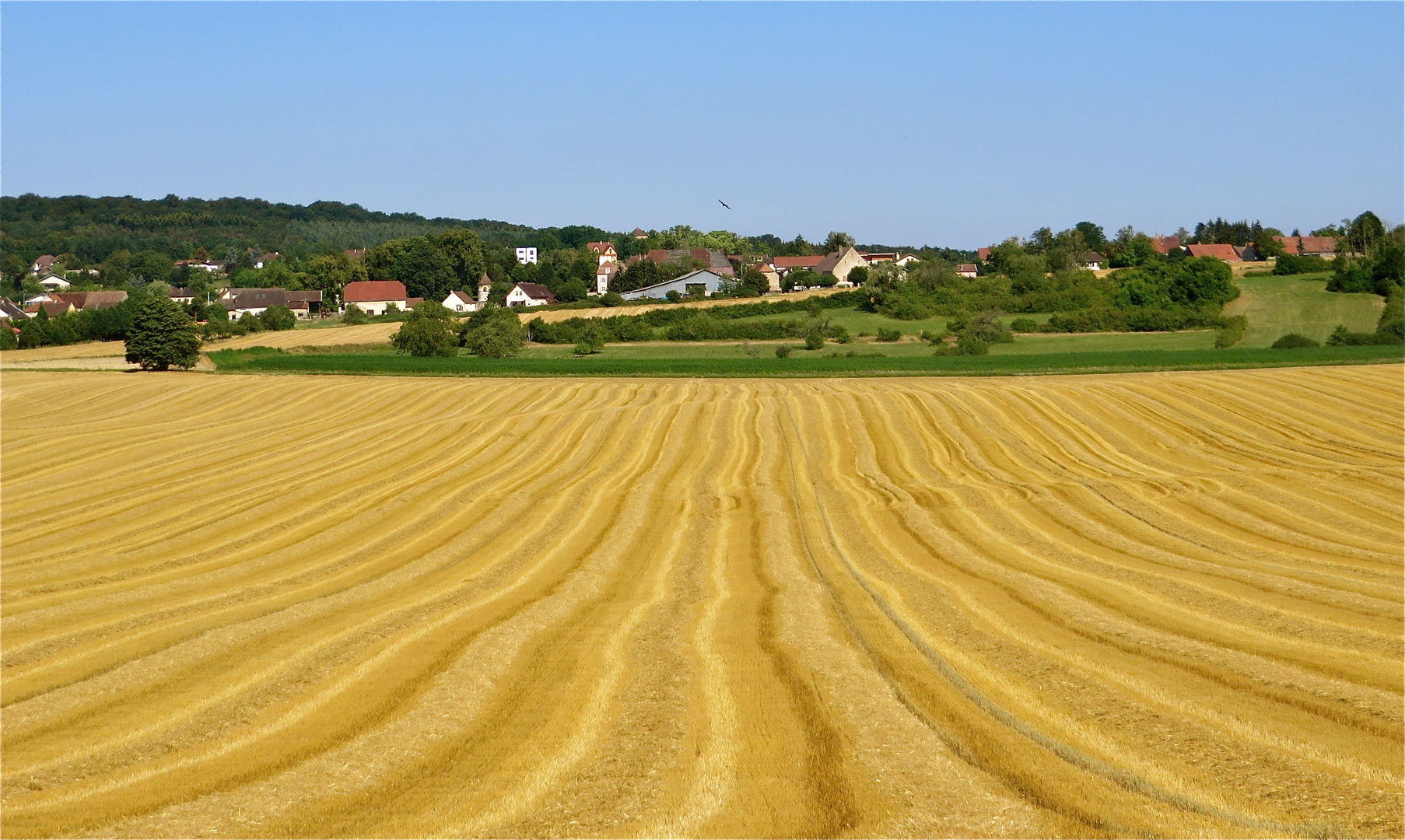 ...la récolte !!!.. Foto & Bild | paysages, paysages de campagne ...