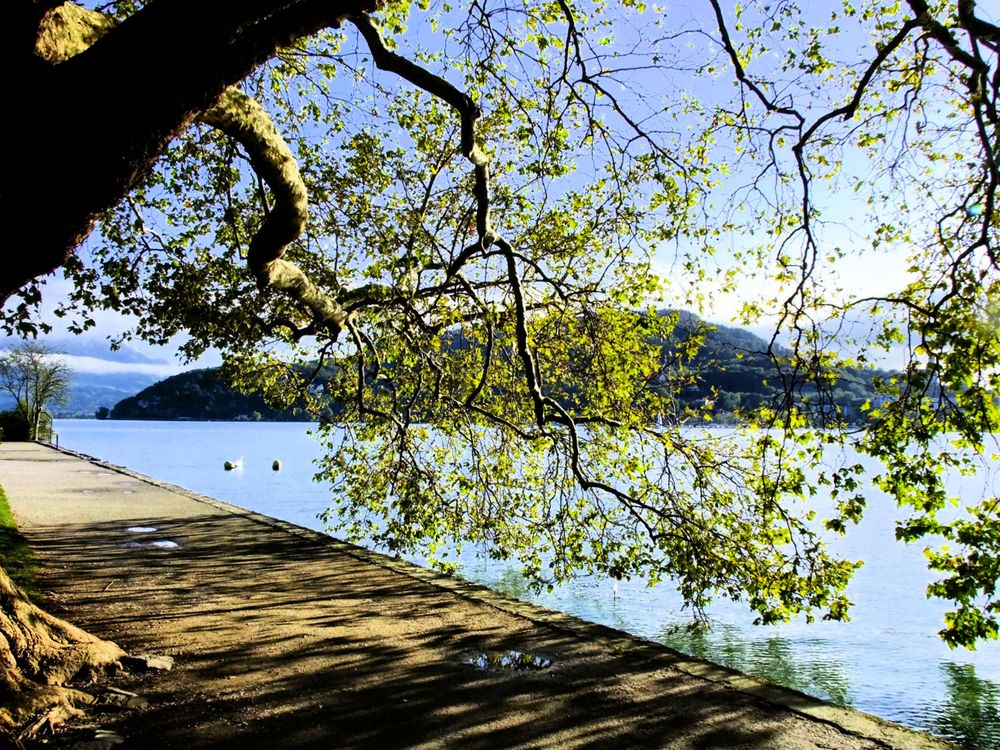 La rive photo et image | europe, france, haute savoie Images fotocommunity