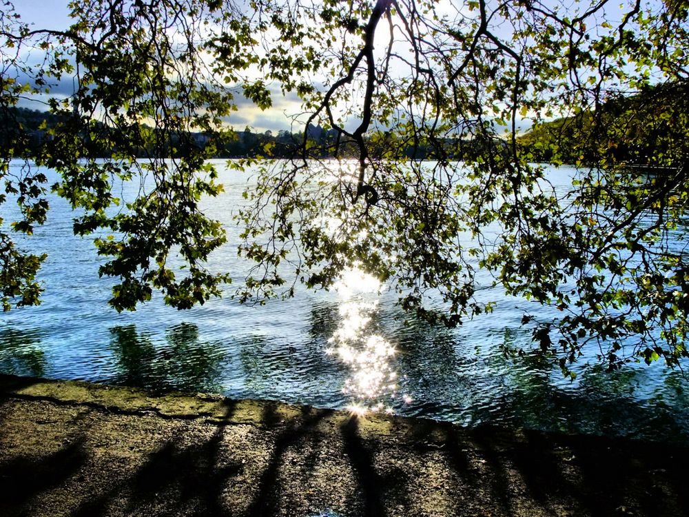 La rive. 2 photo et image | europe, france, haute savoie Images ...