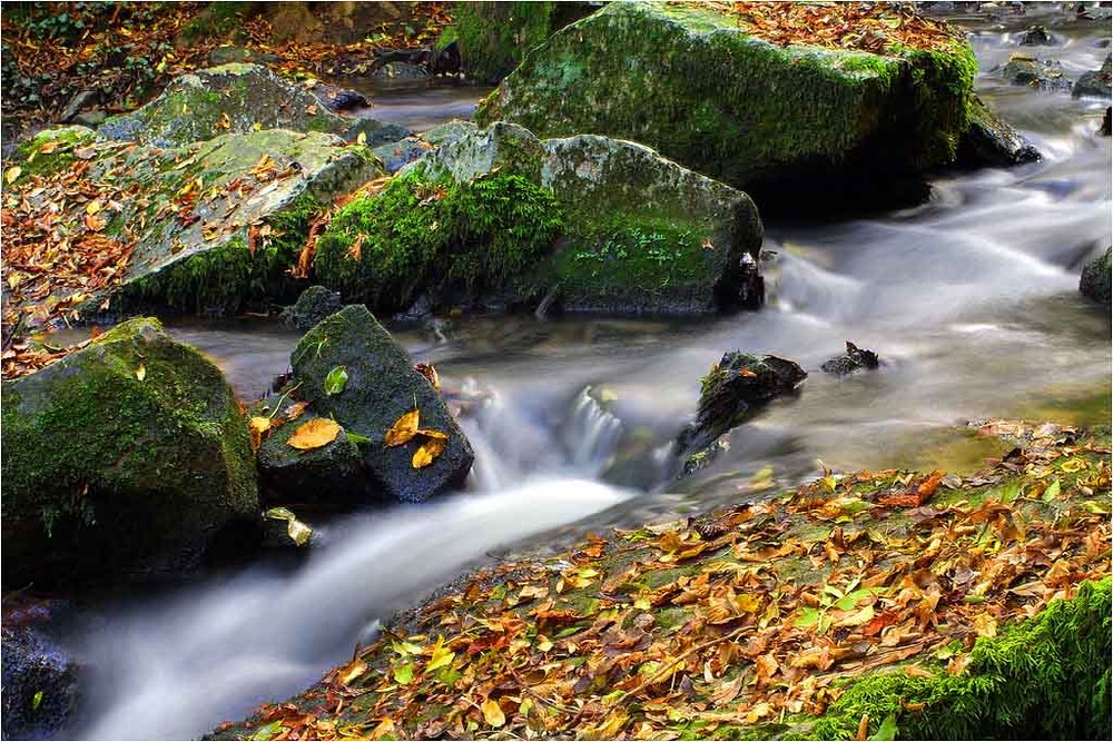 La riviere 2 photo et image | paysages, galerie jojo, nature Images ...