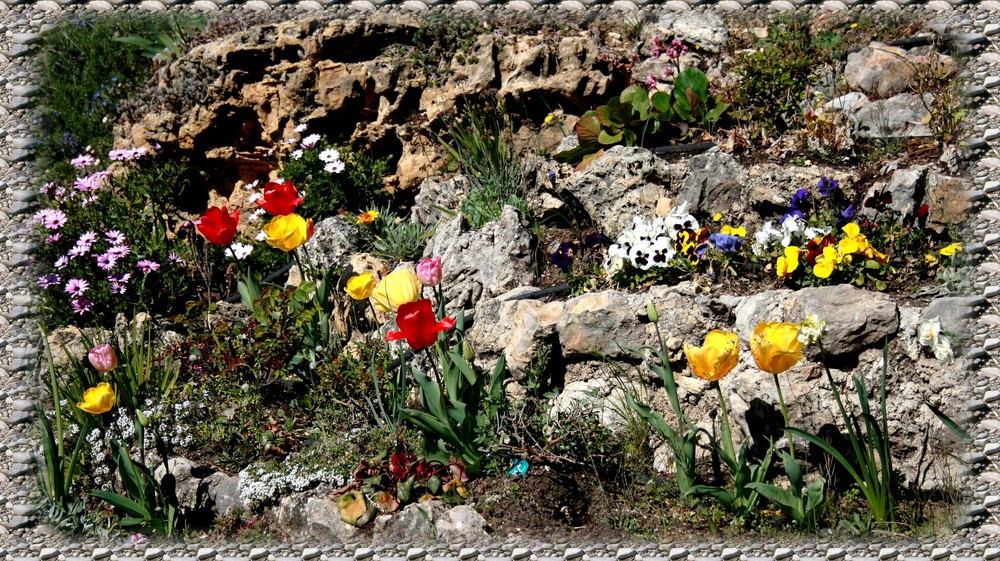 La rocaille photo et image | jardins, nature Images fotocommunity
