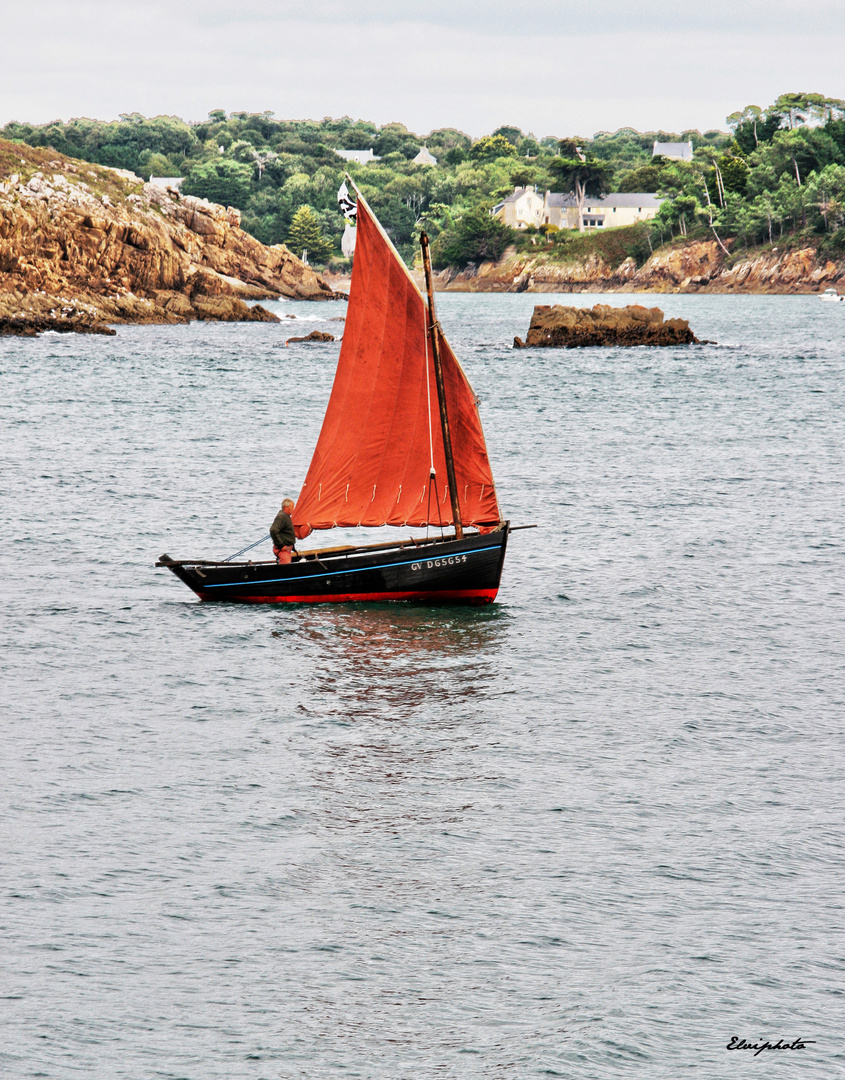 La voile rouge photo et image | rouge, voilier, voile Images fotocommunity