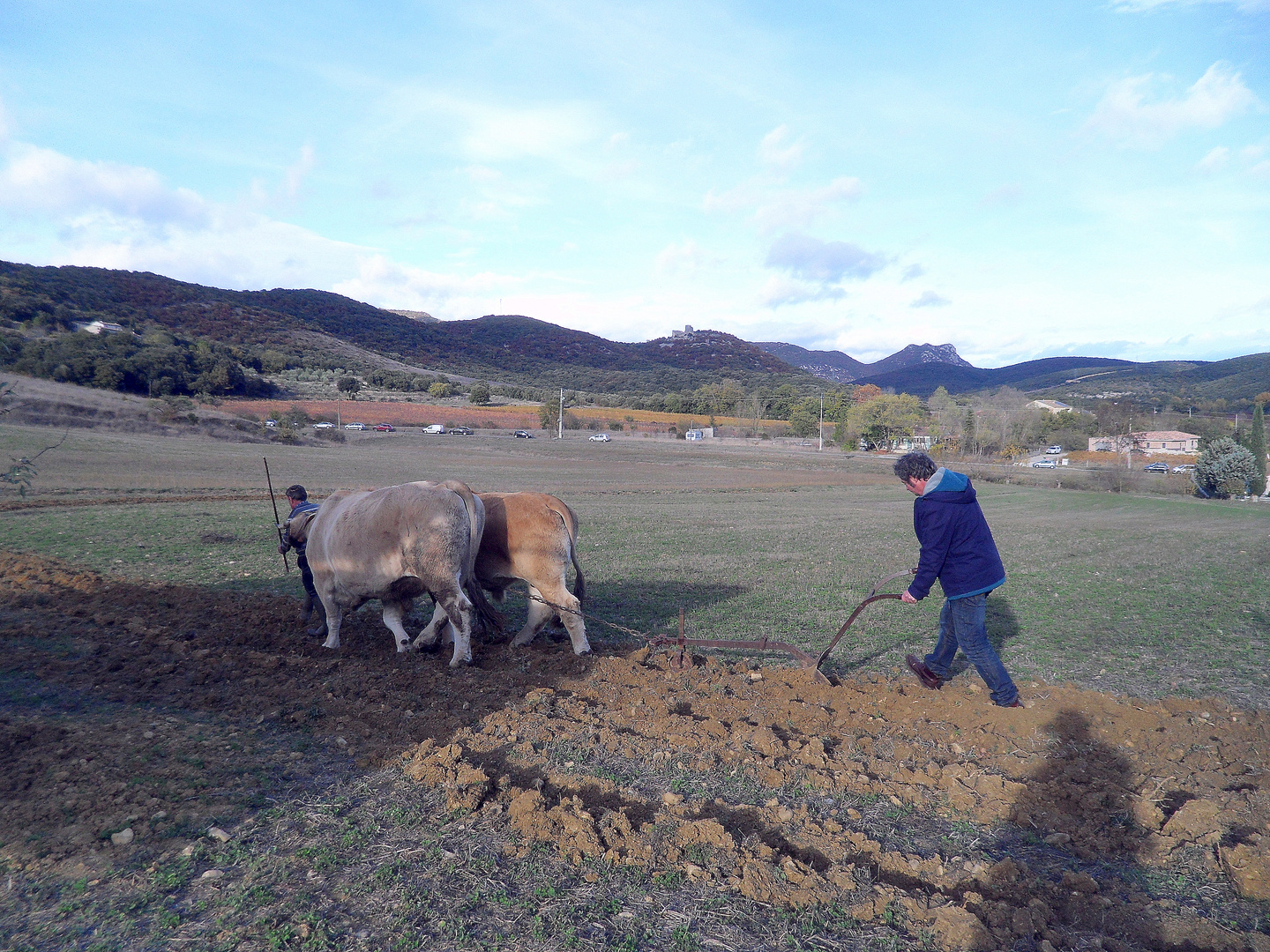 Labour .... photo et image | reportage, sujets, documentaire ...