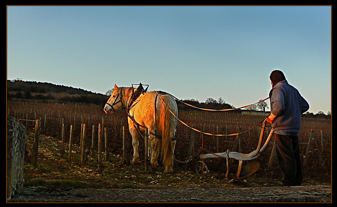 Labours photo et image | paysages, paysages de campagne, images d'ici ...