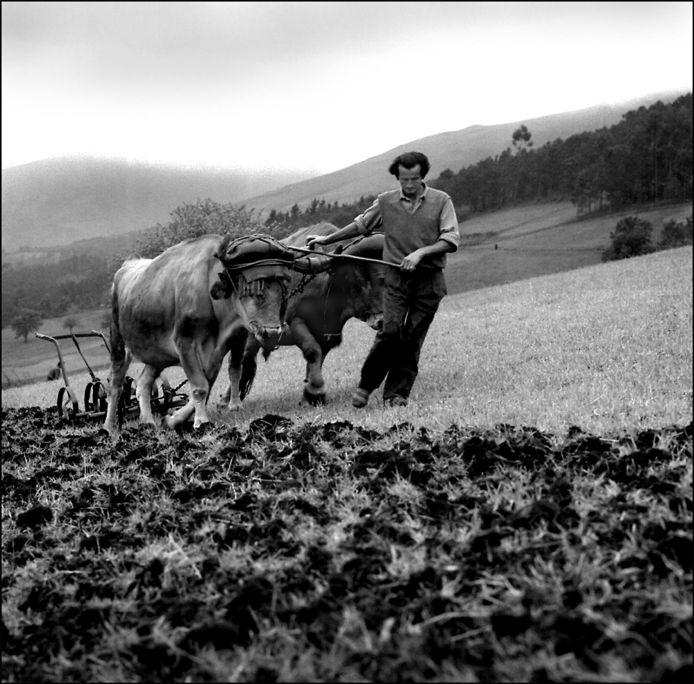 Labriego Imagen & Foto | documentación y periodismo , motivos Fotos de ...
